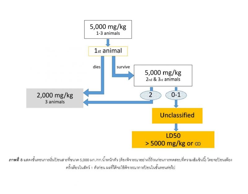 Animal Testing – Mahidol University National Laboratory Animal Center